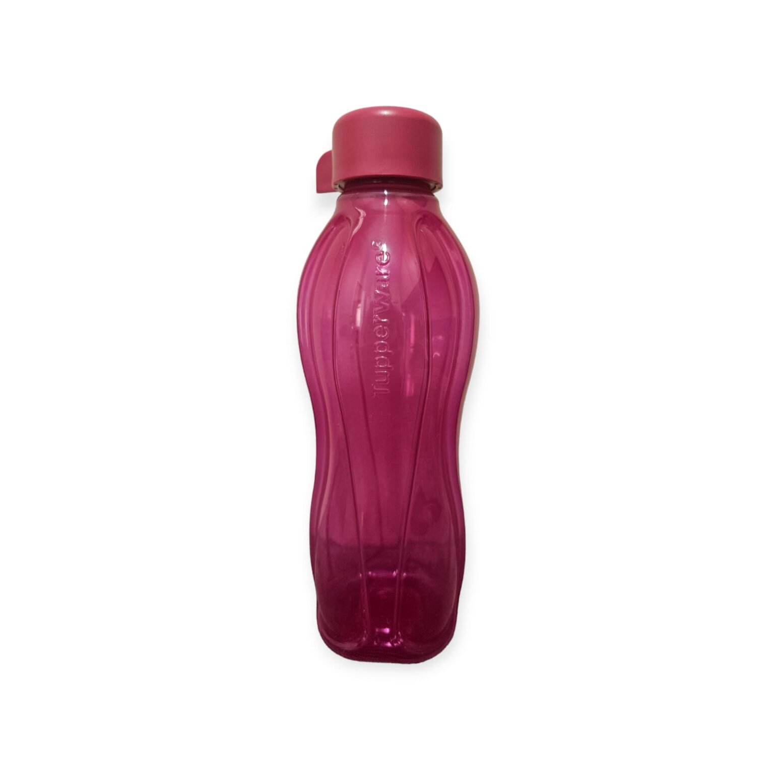 Tupperware Eco Bottle 310ml – Happy Harvesting